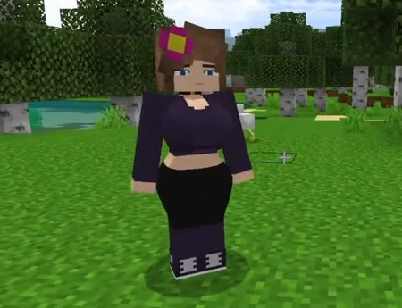 Minecraft Jenny Mod - Play Online Minecraft Jenny Mod on Smash or Pass Game